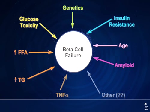 Type 2 Diabetes: The Pathophysiologic Basis of Treatment Design