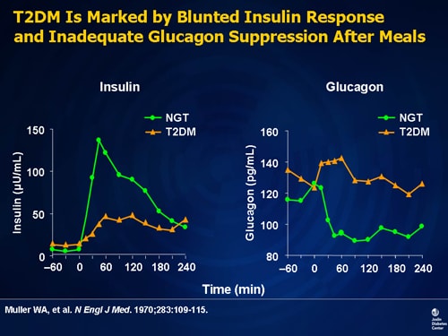Type 2 Diabetes: The Pathophysiologic Basis of Treatment Design