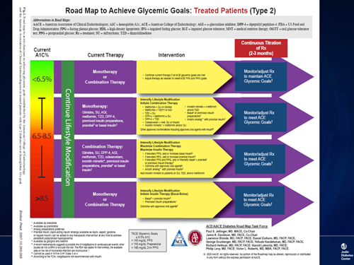 Type 2 Diabetes: Optimizing Treatments and Patient Outcomes