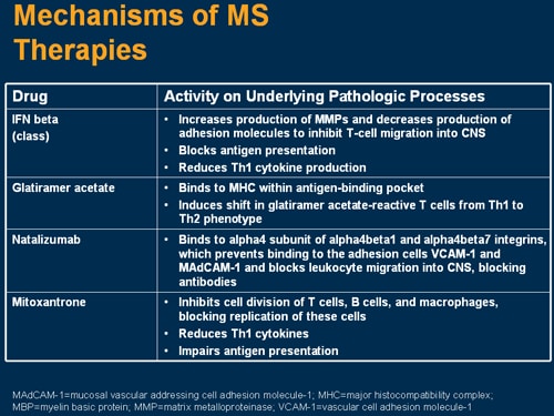 Investigating Multiple Sclerosis: Targeting Therapeutic Options