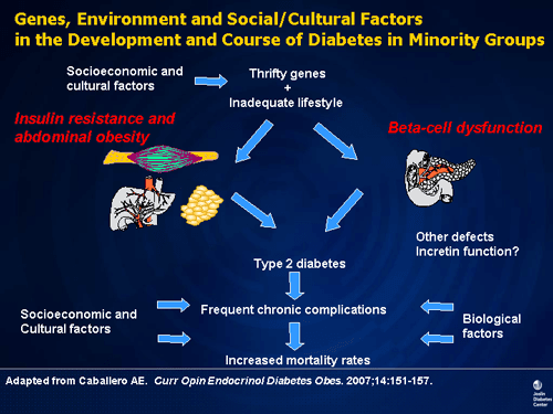 Diabetes Among African Americans in the United States