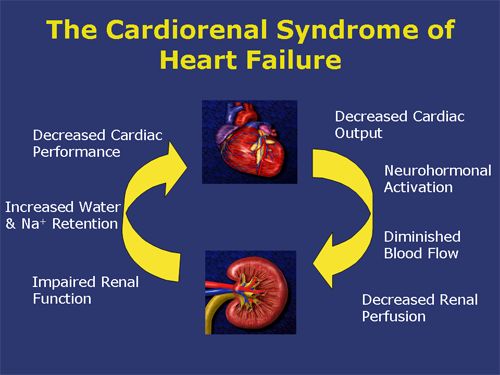 Keys to Success in AHFS-How Cardiorenal Syndrome Pathophysiology Affects Tx