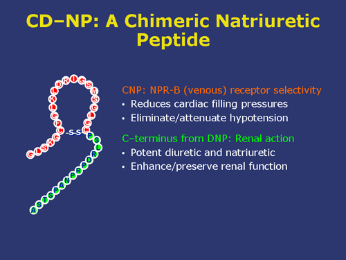 Improving AHFS Outcomes-Changing the Face of Cardiorenal Syndrome Treatment