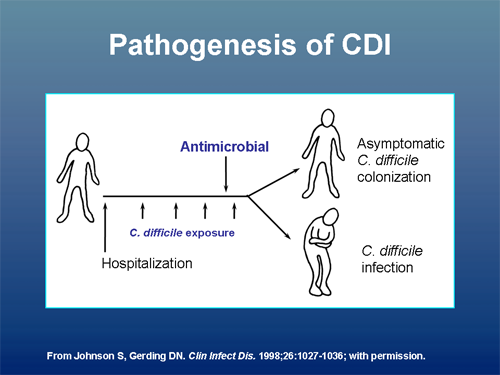 Clostridium difficile Infection: Tools for Treatment and Prevention