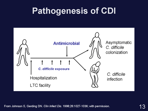 Clostridium difficile Infection in Long-Term Care: Tailored Approaches ...
