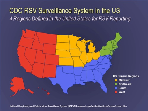 RSV Prevention Strategies (Slides With Transcript)