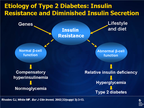 Diabetes and Dyslipidemia: Interrelationships and Clinical Implications