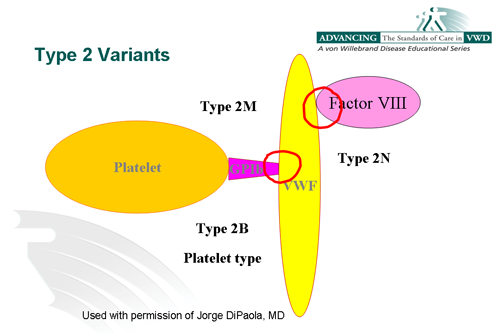 von Willebrand Disease-Pharmacist Role to Better Patient Outcome-Transcript