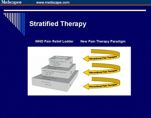 Evolving Changes in the Chronic Pain Paradigm