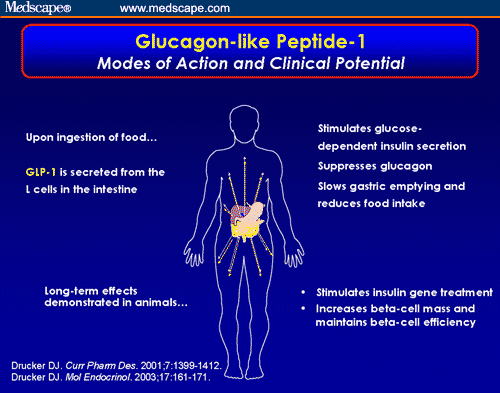 Incretin-Based Therapies in Type 2 Diabetes: In the Clinic, in the Pipeline