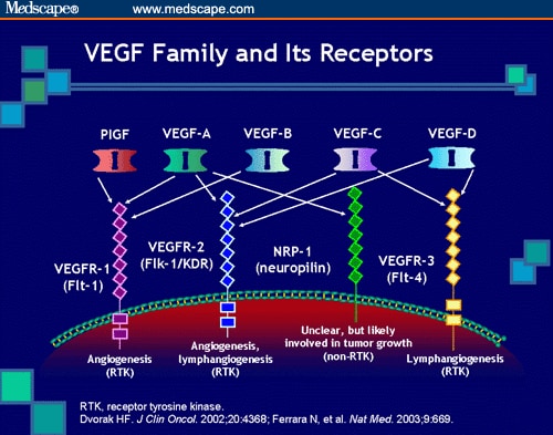 The Evolving Role of Angiogenesis Inhibition in Treatment of Breast Cancer