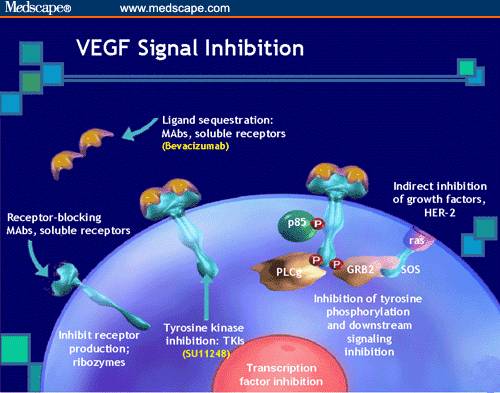 The Evolving Role of Angiogenesis Inhibition in Treatment of Breast Cancer