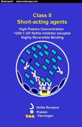 The Success and Failure of Glycoprotein IIb/IIIa Receptor Blockers and...