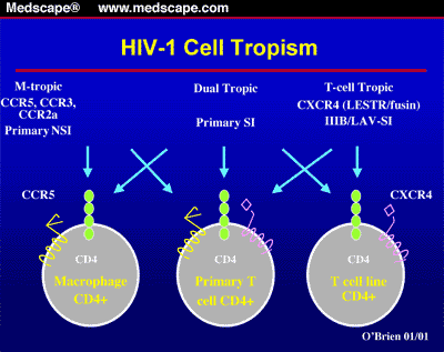 E-Inhibition: HIV Entry Inhibitors