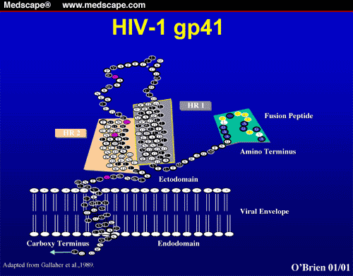 E-Inhibition: HIV Entry Inhibitors