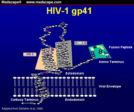 HIV Entry -- From Molecular Insights to Specific Inhibitors