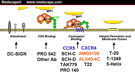 HIV Entry -- From Molecular Insights to Specific Inhibitors