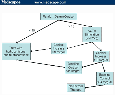 Research Determines Best Practices for Treatment of Sepsis