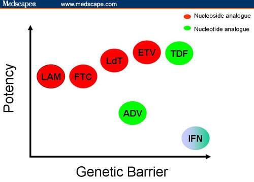 XV International HIV Drug Resistance Workshop: HBV/HCV Drug Resistance