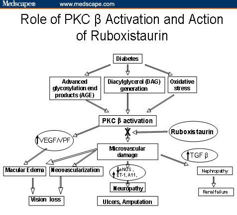 Topics in Diabetic Neuropathy