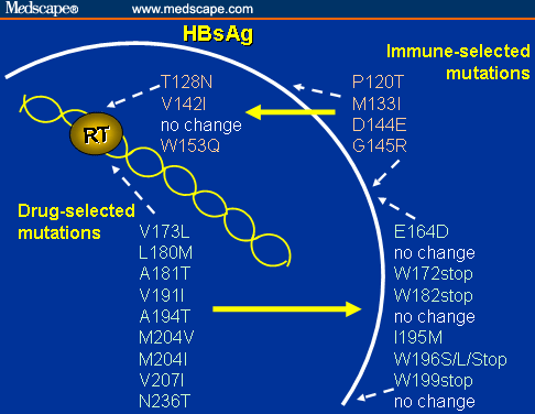 Viral Hepatitis/HIV Coinfection - CROI '07