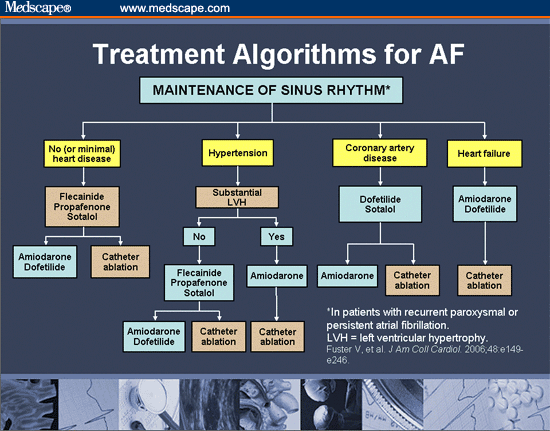 What's New in the 2006 Guidelines (Slides with Transcript)