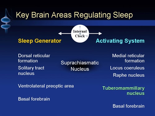 Histamine System Neurobiology: Key Regulator of Sleep-Wake Fx (Transcript)