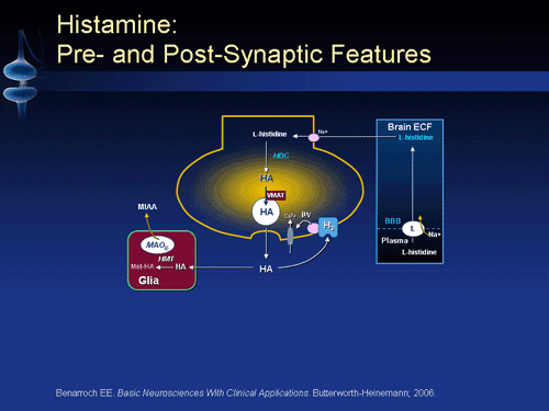 Histamine System Neurobiology: Key Regulator of Sleep-Wake Fx (Transcript)