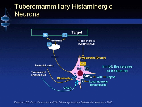 Histamine System Neurobiology: Key Regulator of Sleep-Wake Fx (Transcript)