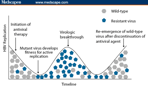 Understanding Resistance in Hepatitis B -- Clinical Implications