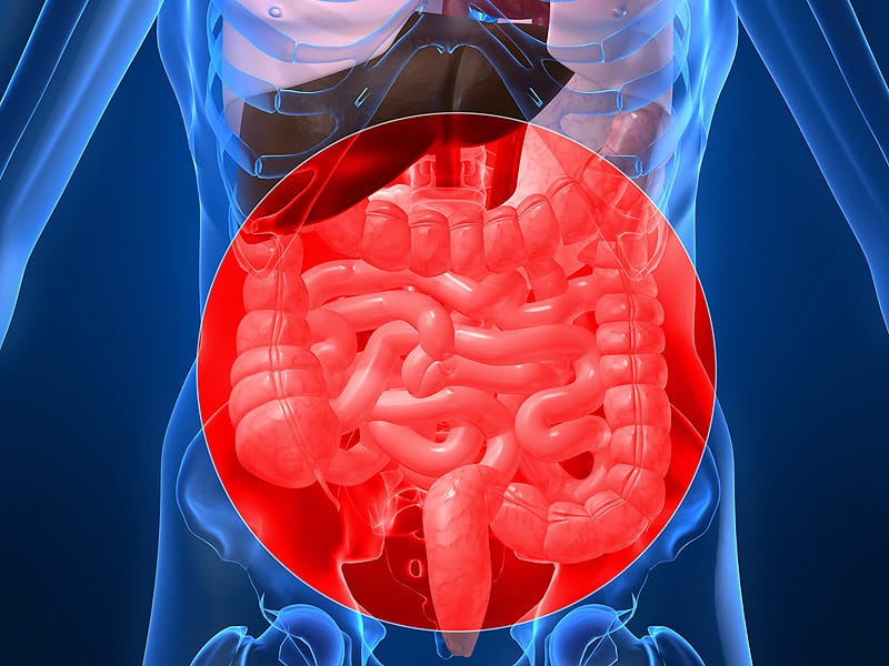Drilling Down on GI Immunotherapy