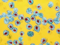 Tybost (cobicistat) dosing, indications, interactions, adverse effects ...