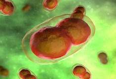 Smallpox: Background, Etiology, Epidemiology