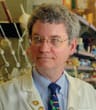Back to the Basics: Clinical Immunology and Its Implications for Cancer ...