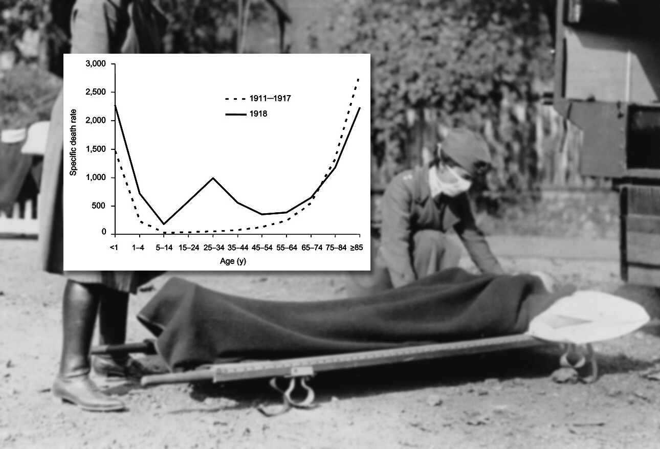 Influenza Strikes Again: 100 Years After Great Pandemic