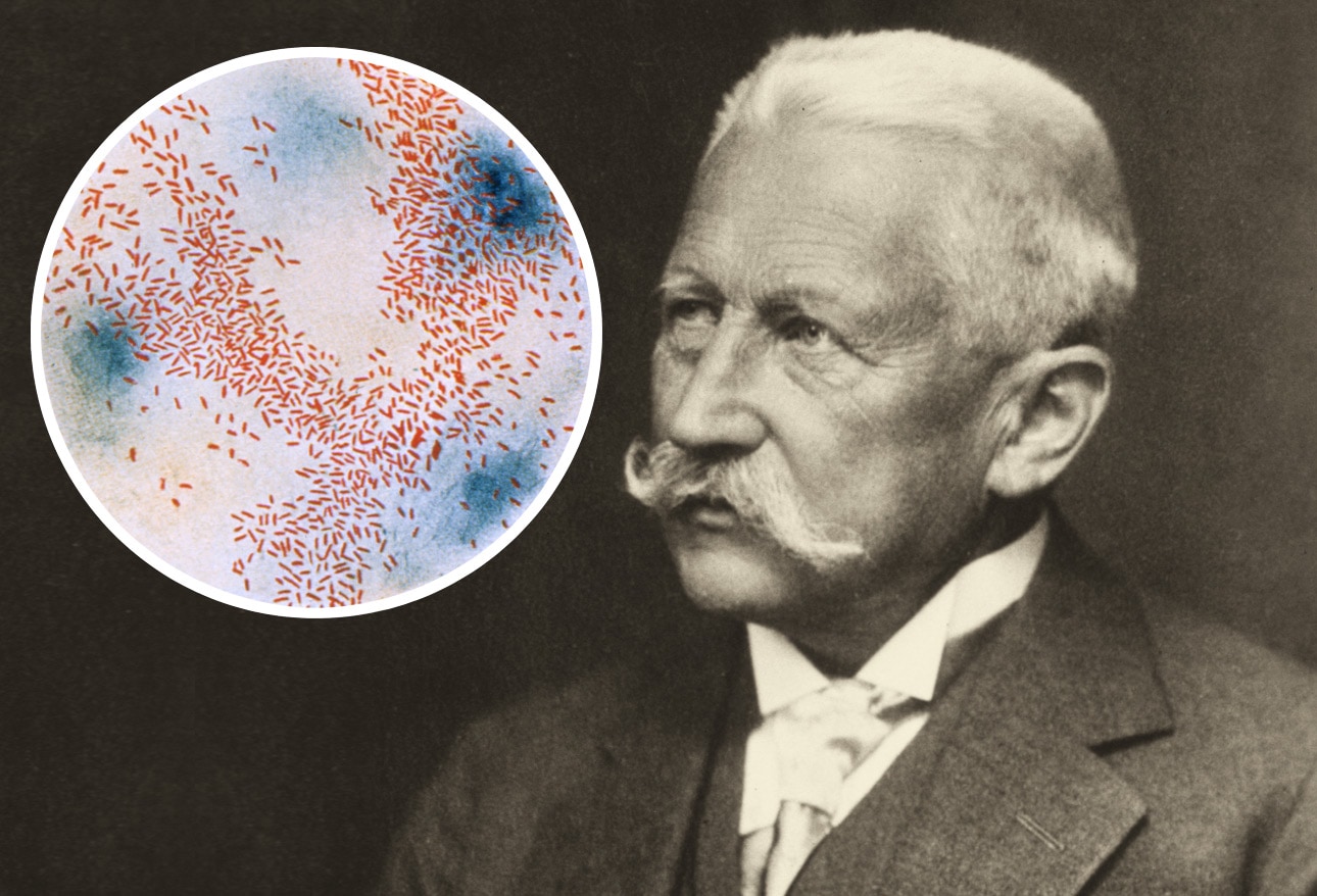 Influenza Strikes Again: 100 Years After Great Pandemic