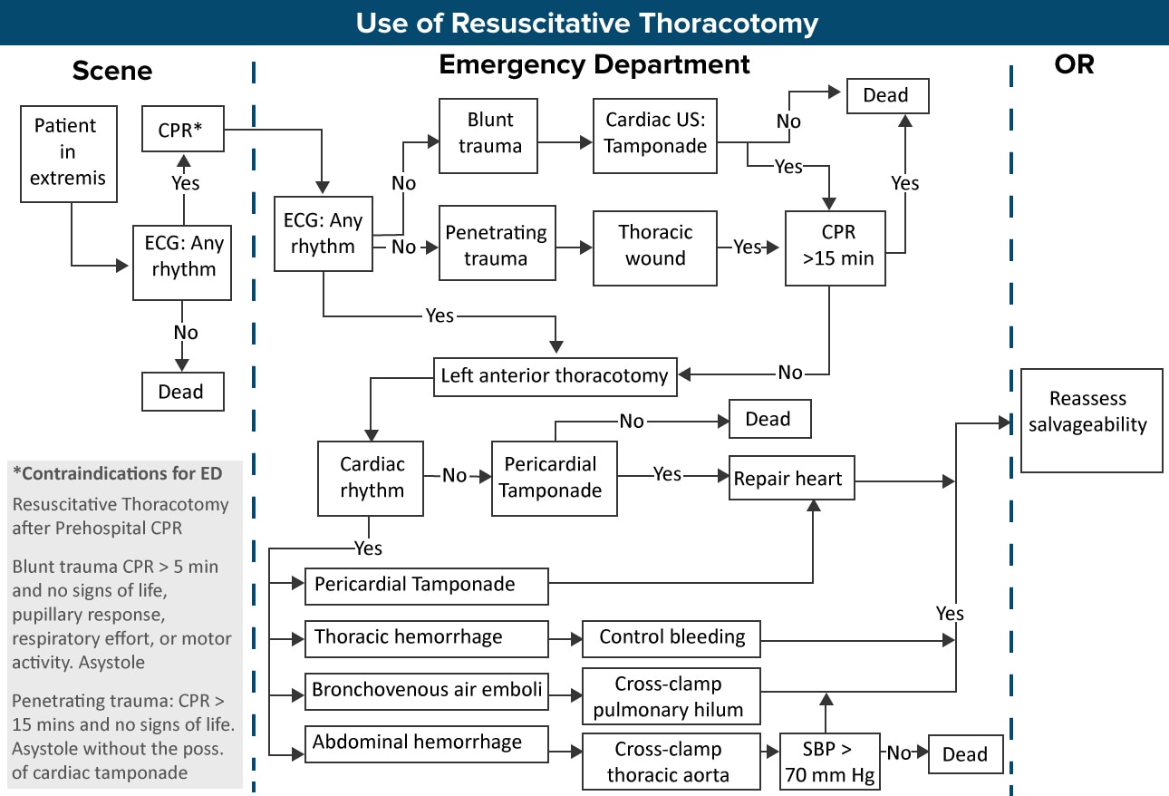 Hard Hits: Blunt Force Trauma