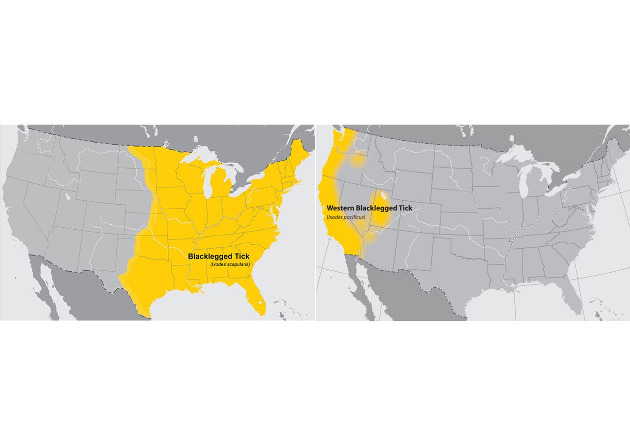 11 Community-Acquired Infections