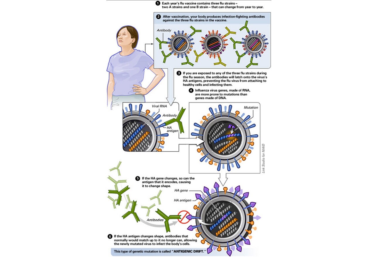 11 Community-Acquired Infections