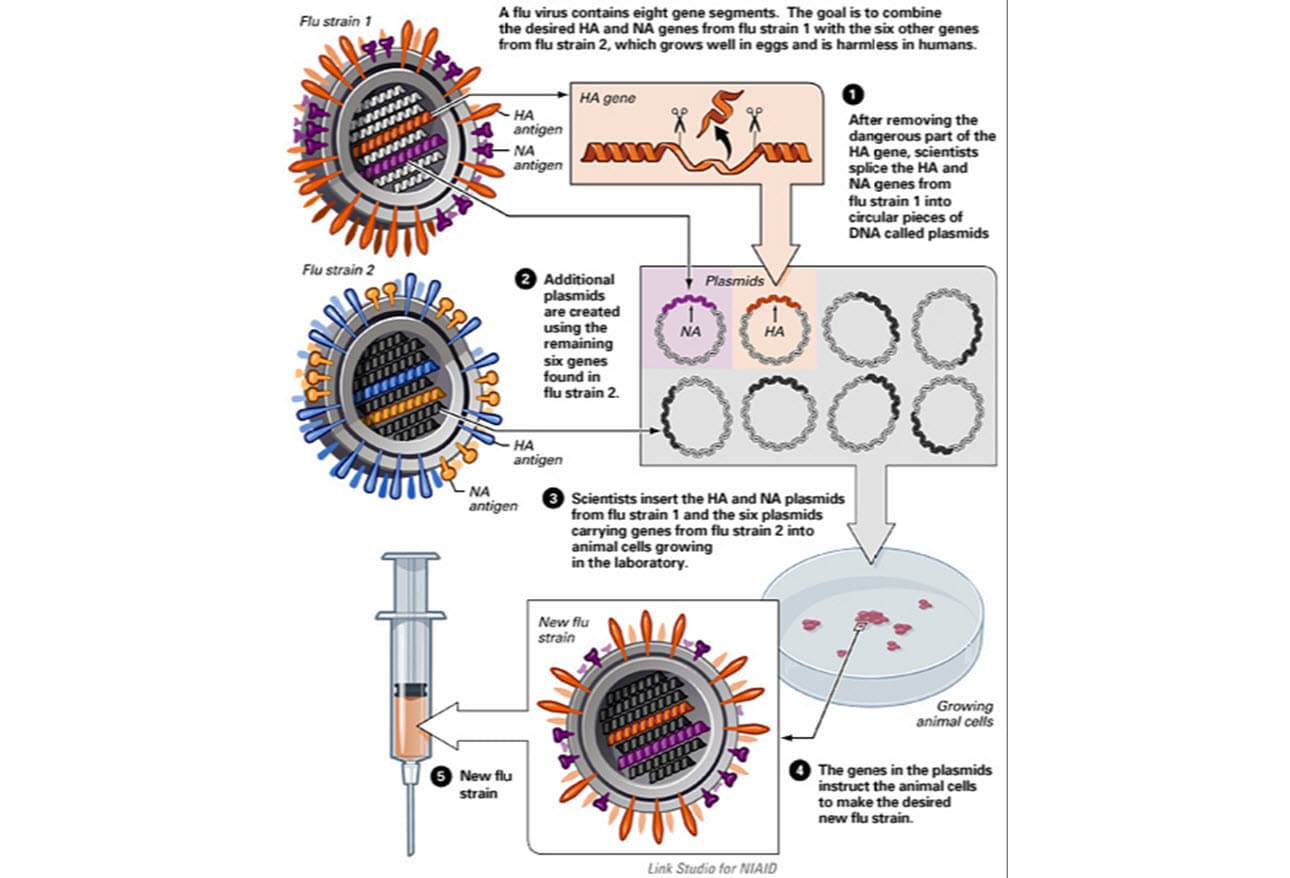 11 Community-Acquired Infections