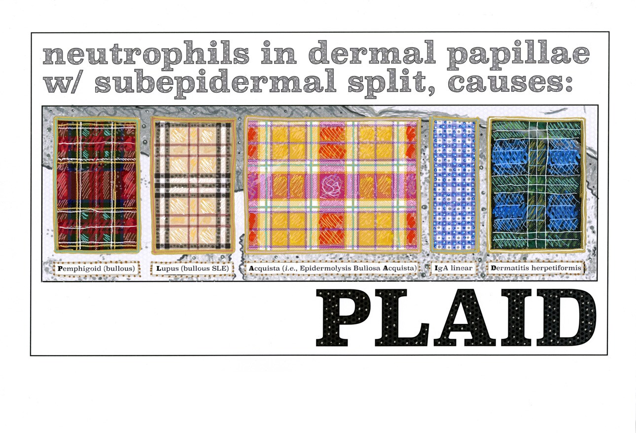 21 Dermatology Mnemonics
