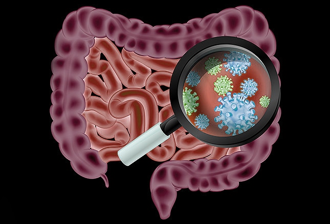 5 Diagnostic Errors to Avoid: The Patient With Infectious Disease