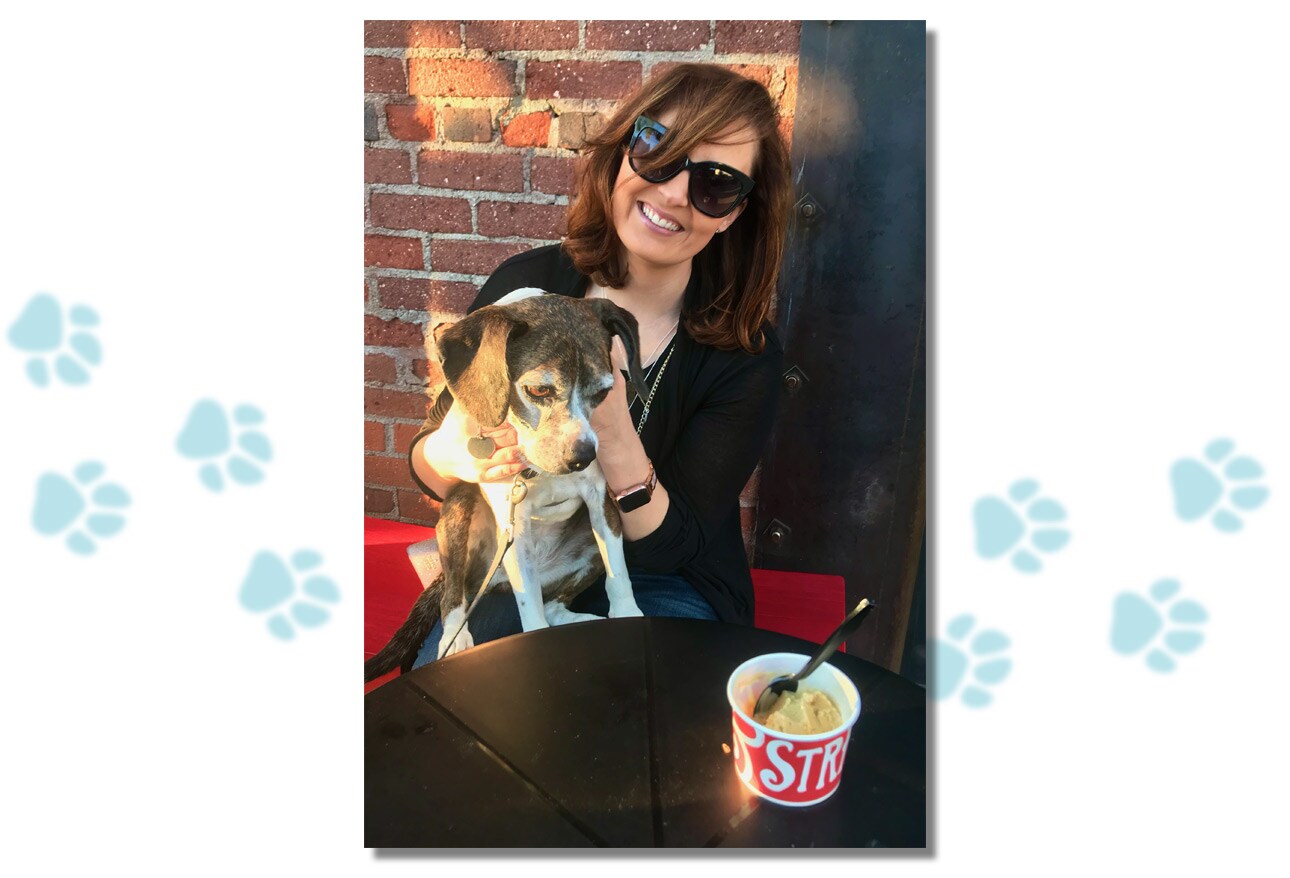 Pawscription Pads: Docs and Their Dogs 2024