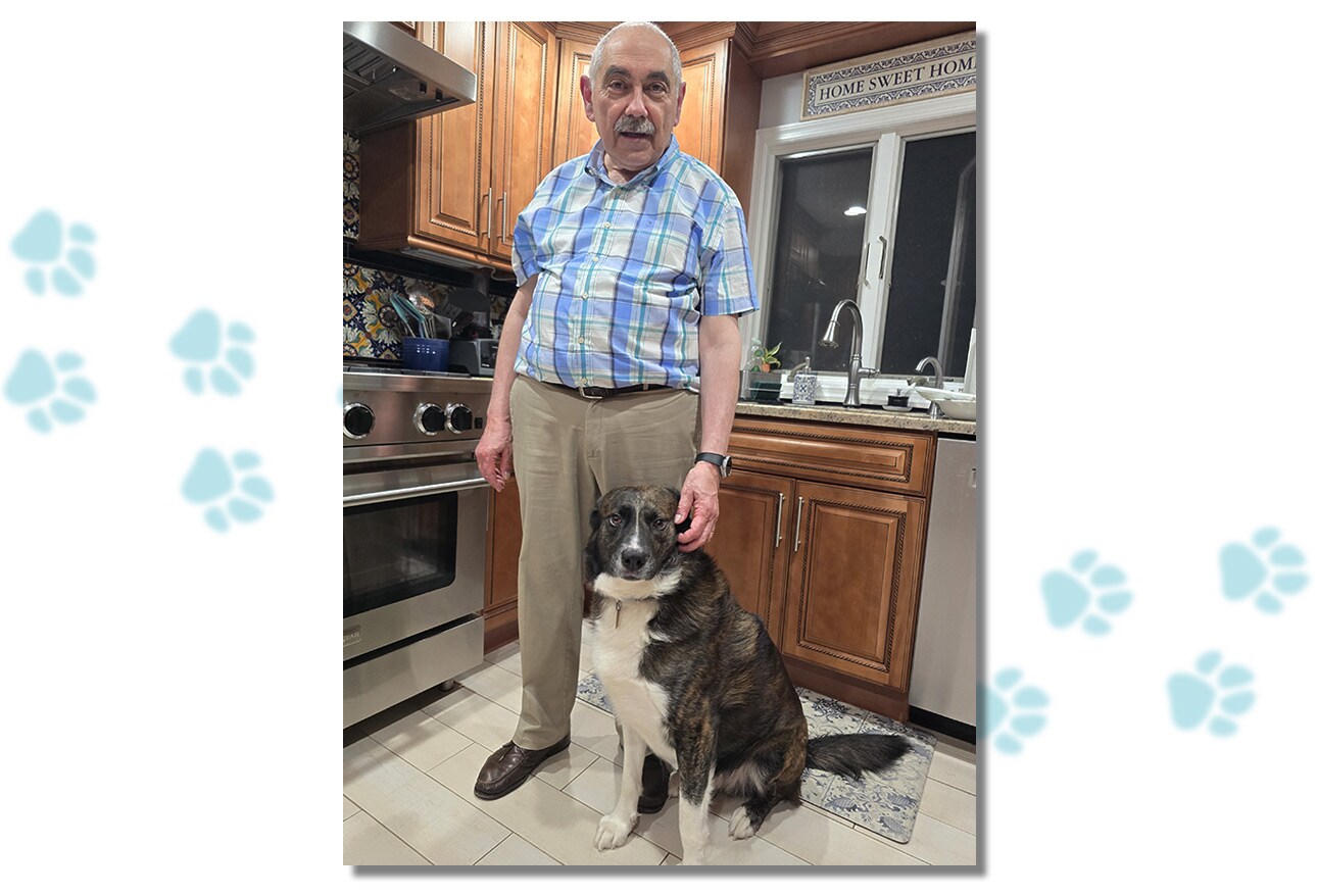 Pawscription Pads: Docs and Their Dogs 2024