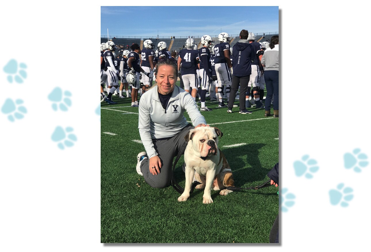 Pawscription Pads: Docs and Their Dogs 2024