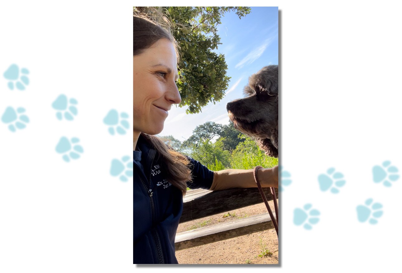 Pawscription Pads: Docs and Their Dogs 2024