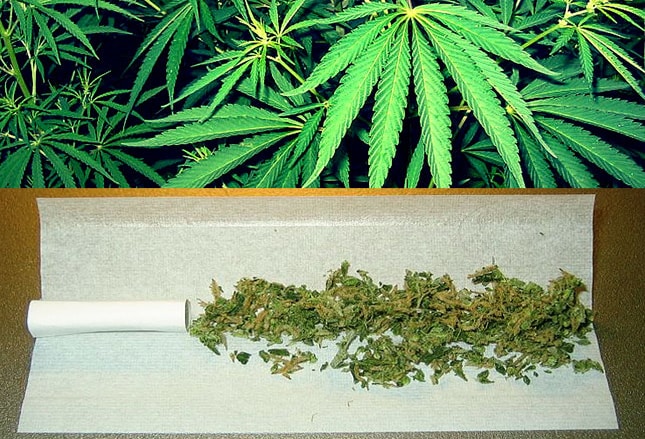 Physical Manifestations of 9 Drugs of Abuse