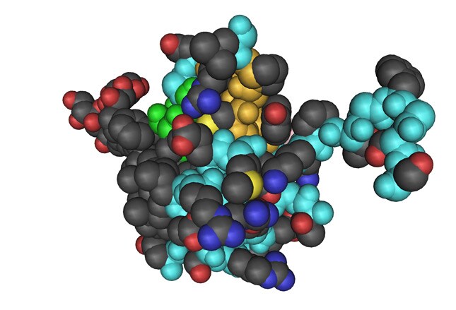 Understanding Growth Disorders: 7 Cases