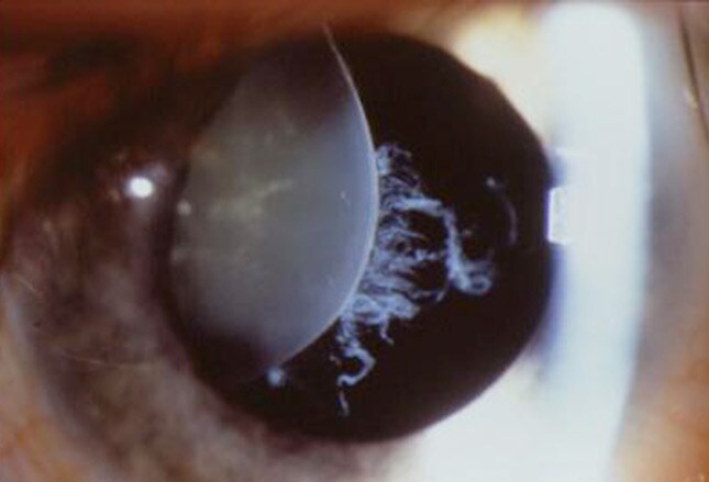 Growth Disorders: 10 Cases of a Developing Problem