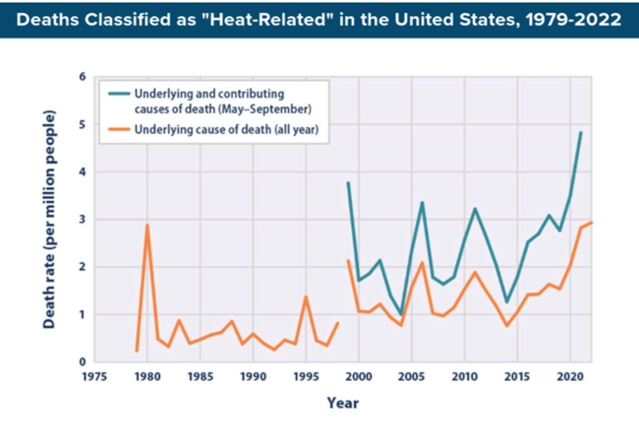 Burning Up? A Guide To Recognizing And Managing Heat Illness